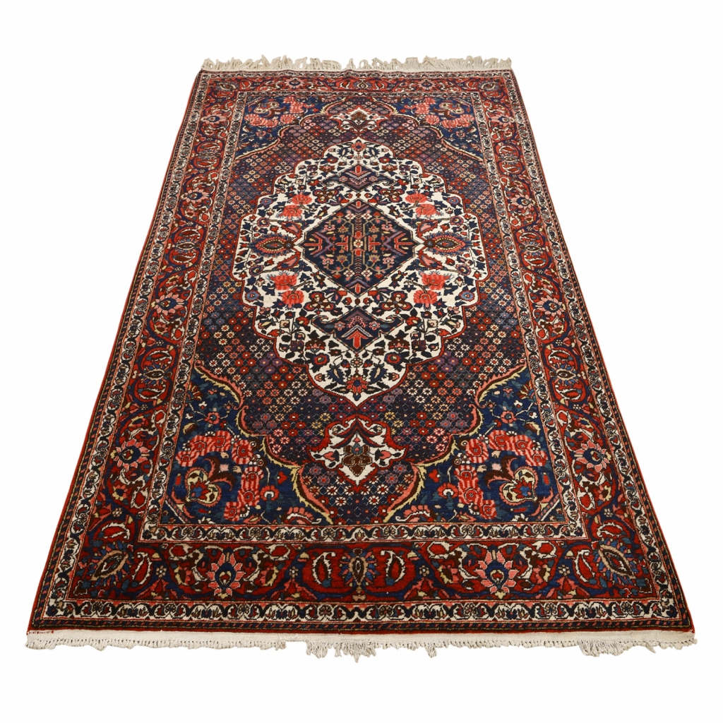 Vintage Bakhtiar-19'6 x 14'10-4731 - Damoka